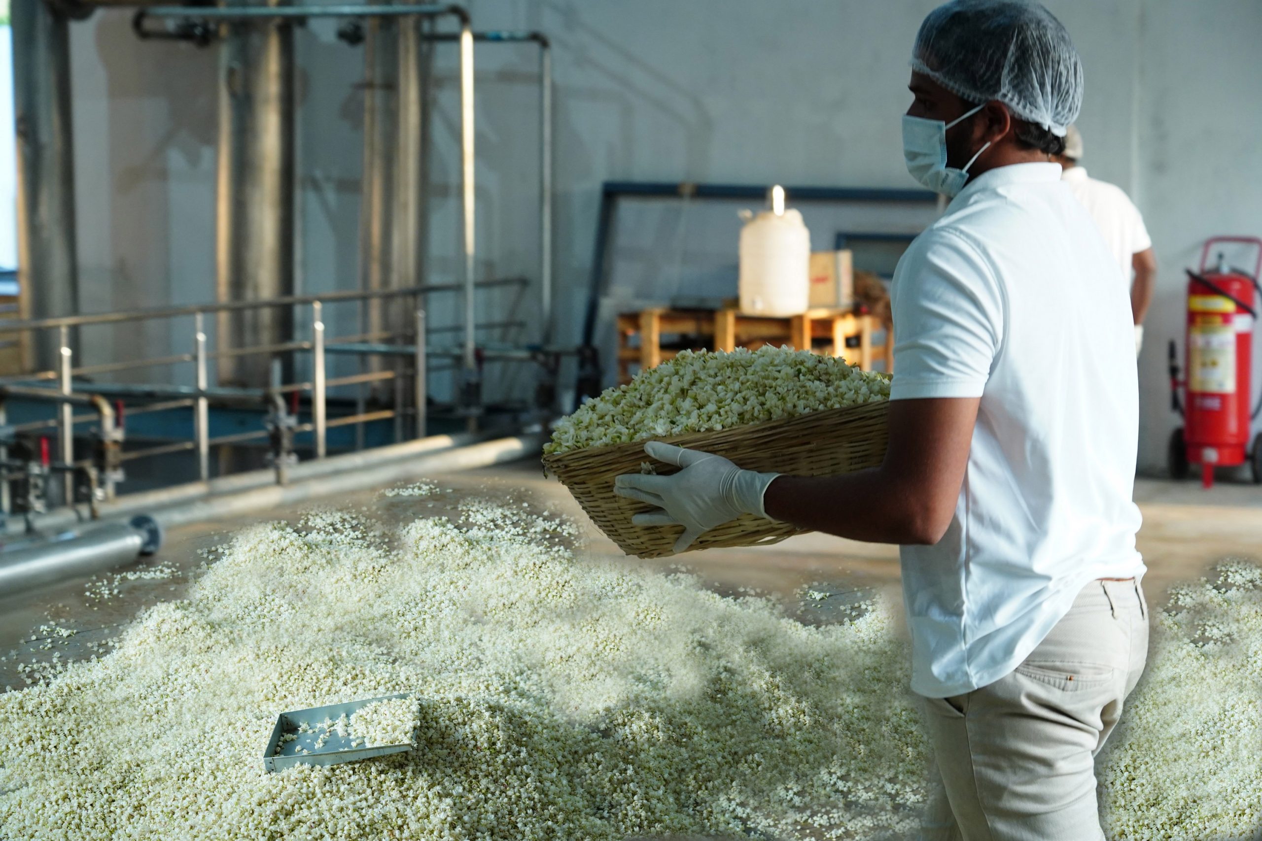 Gallery – Madurai Malli Fragrances