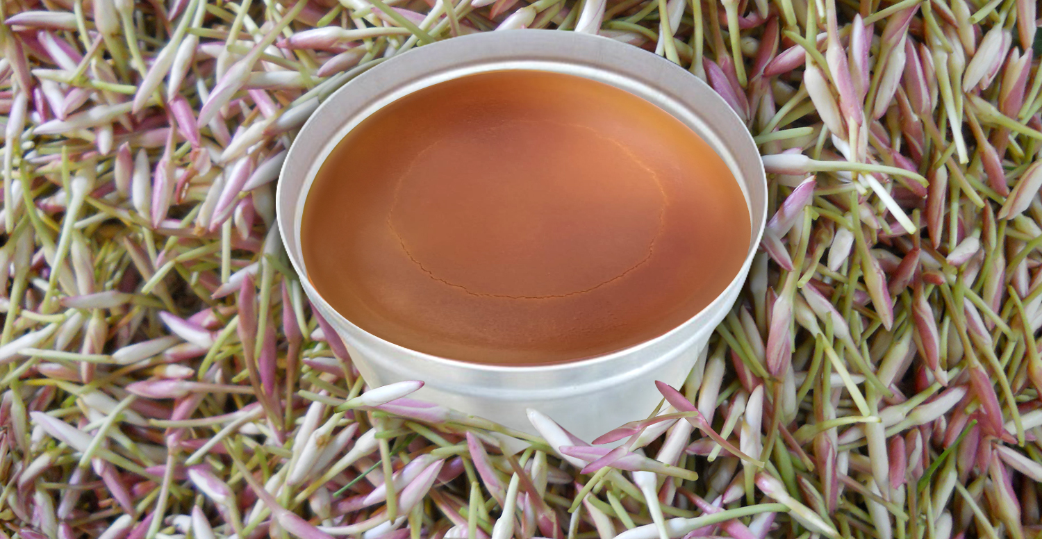 Home - Madurai Malli Fragrances